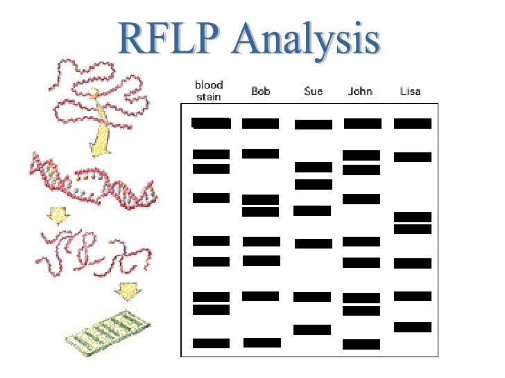 Chapter 11 Biotechnology