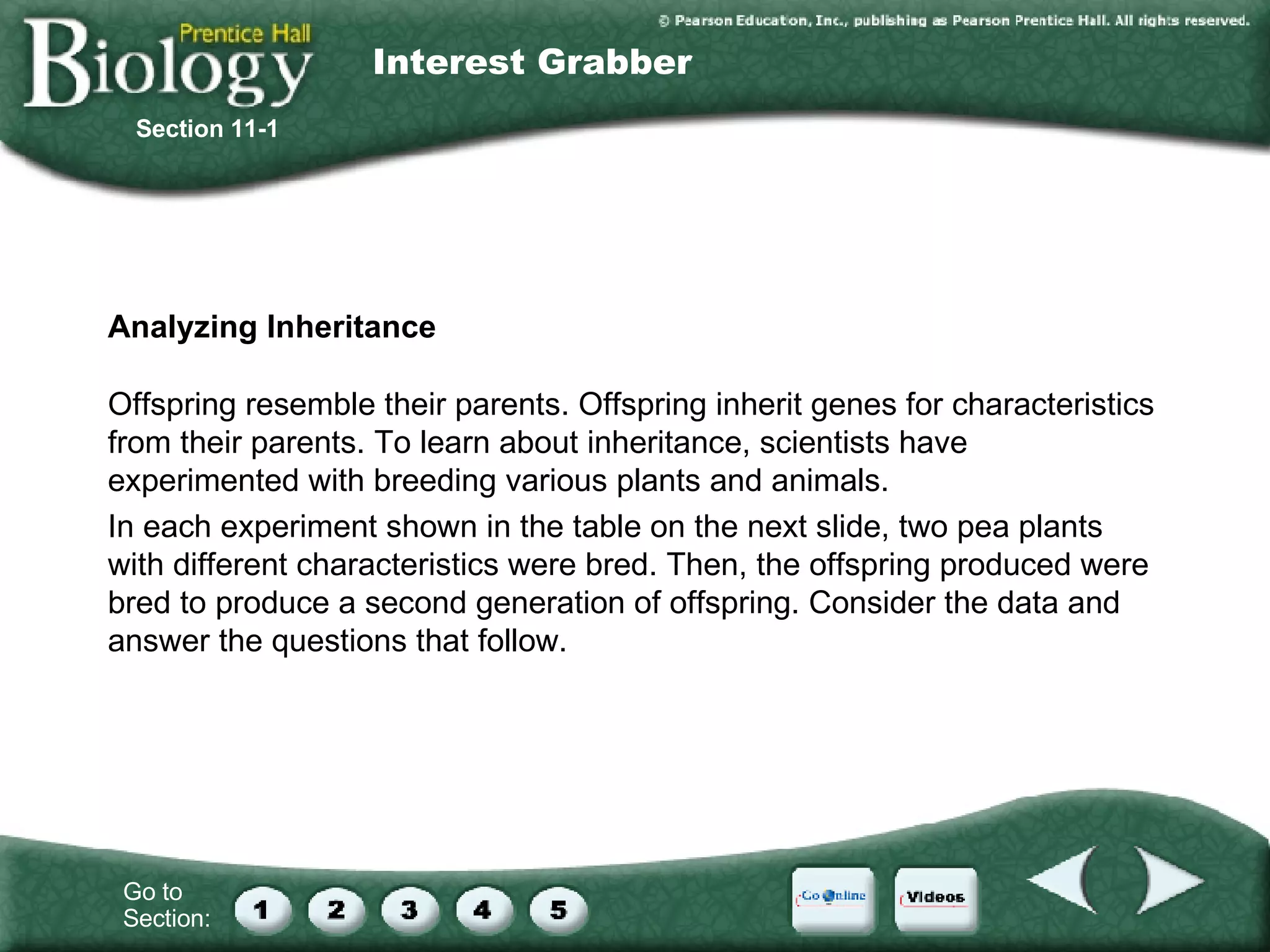 Chapter 11: Introduction to Genetics | PPT