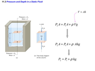 Chapter 11 Powerpoint | PPT