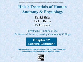 Blood Composition | PPT