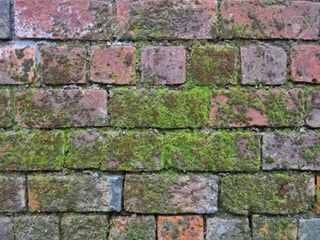 Chapter 12 special treatments | PPTX