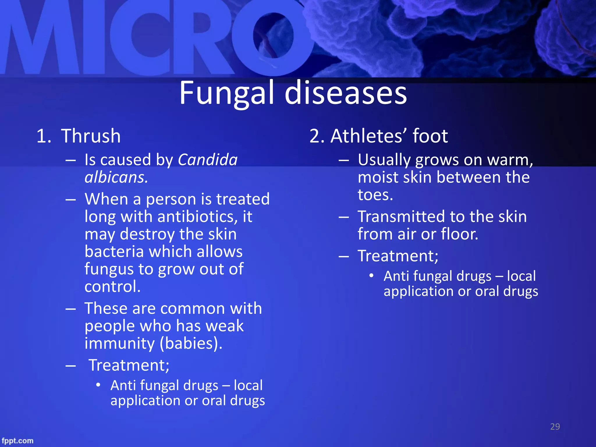 Edexcel IGCSE - Human Biology - Chapter 13 - Microorganisms and ...