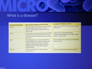 Edexcel IGCSE - Human Biology - Chapter 13 - Microorganisms and ...
