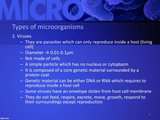 Edexcel IGCSE - Human Biology - Chapter 13 - Microorganisms and ...