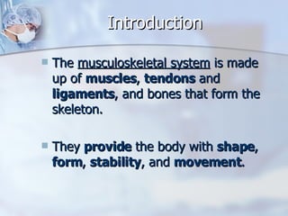 Muscles And Bones | PPT