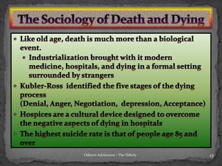 Chapter 13 The Elderly | PPTX | Eldercare | Family and Relationships
