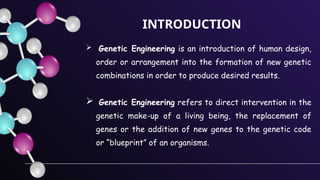CHAPTER-14-THE-MORAL-ISSUE-OF-GENETIC-ENGINEERING-.pptx