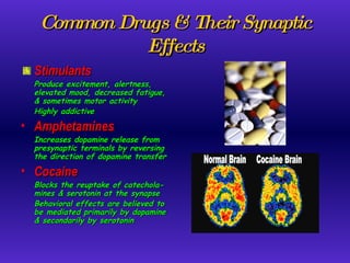 Chapter 15: Psychological Disorders | PPT