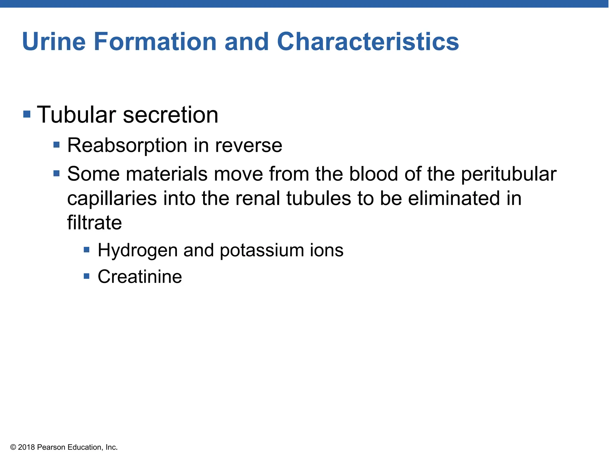 CHAPTER-15-Urinary-System.pdf anatomy and physiology | PDF