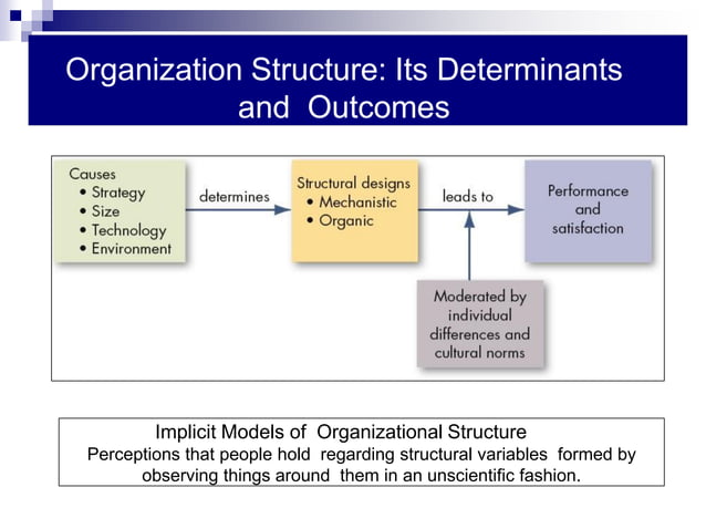 Foundations of Organization Structure, Chapter 16-Organizational ...