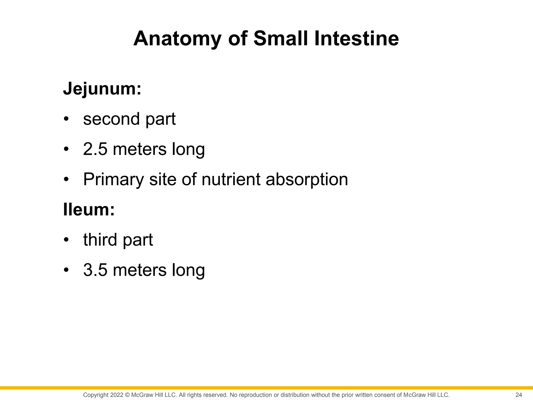 Anatomy and Physiology Chapter-16_Digestive-System.pptx