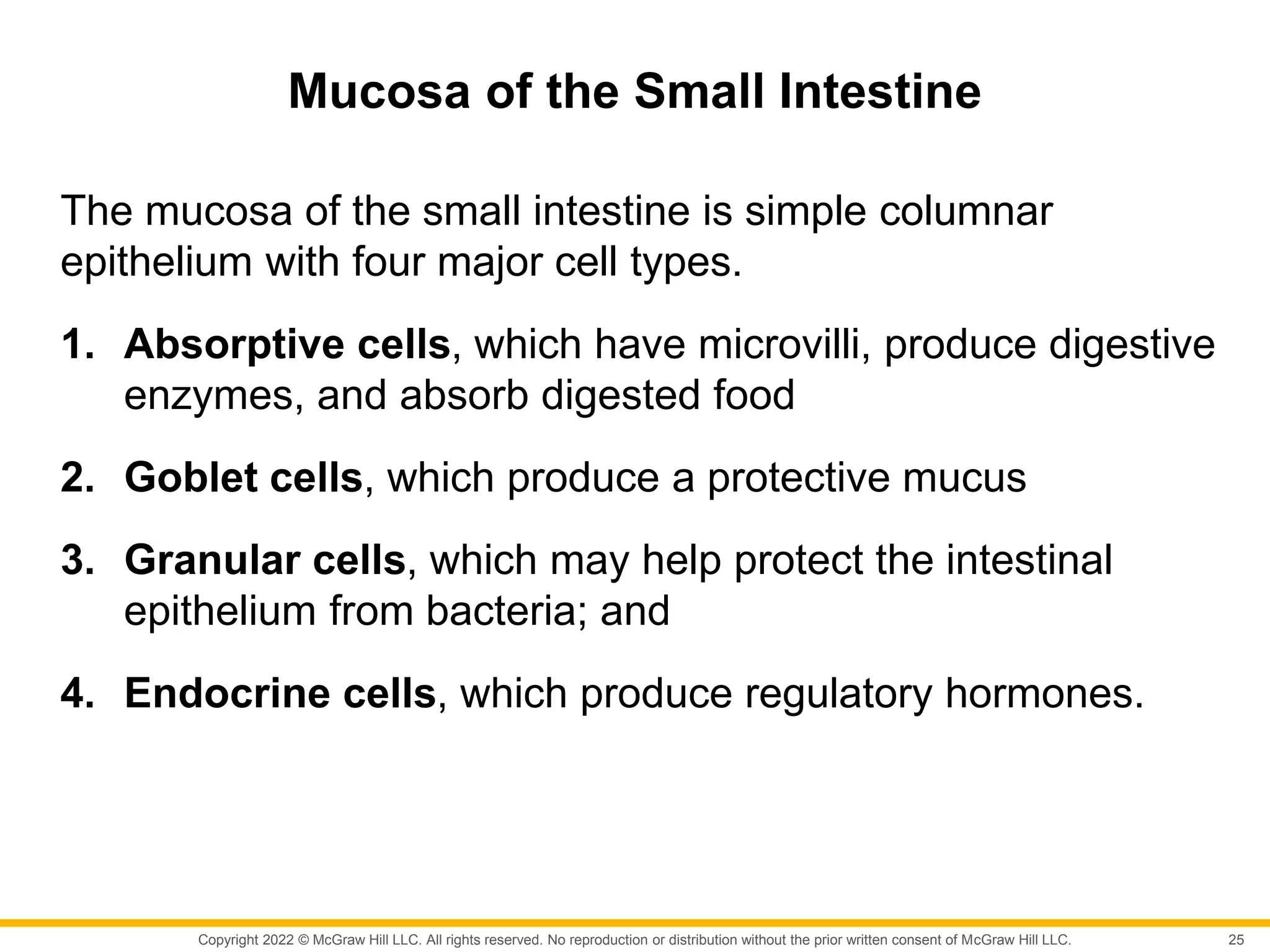 Anatomy and Physiology Chapter-16_Digestive-System.pptx