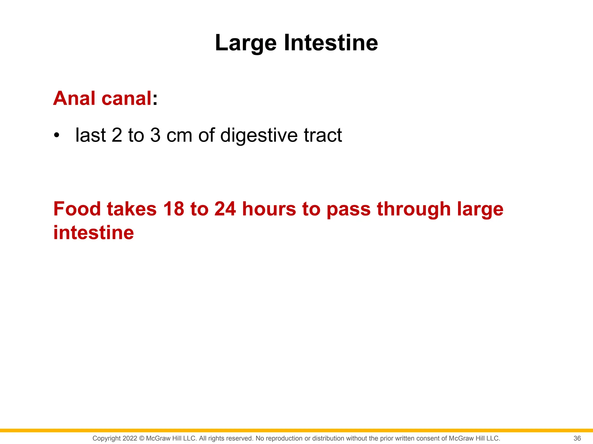 Anatomy and Physiology Chapter-16_Digestive-System.pptx