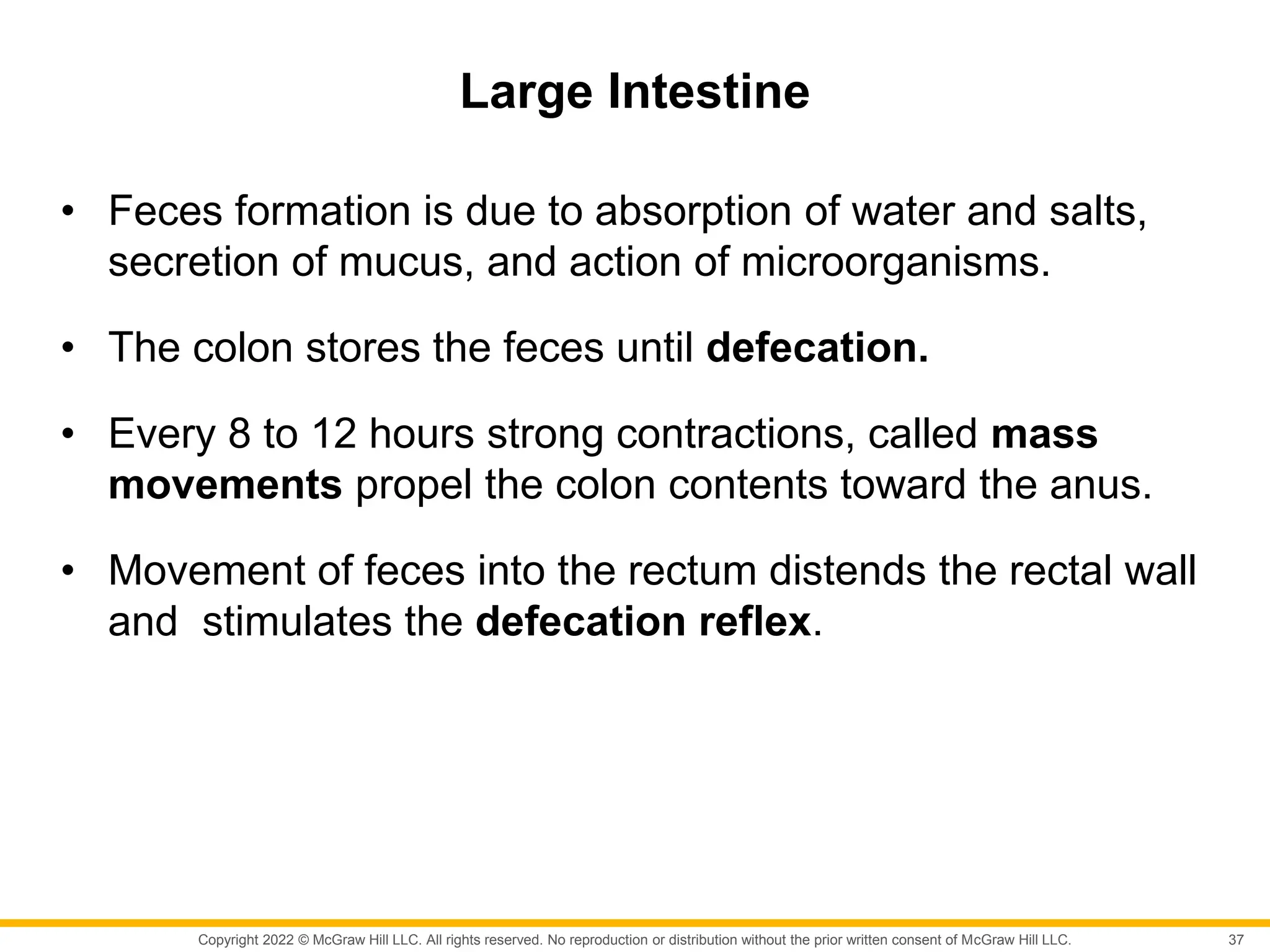 Anatomy and Physiology Chapter-16_Digestive-System.pptx