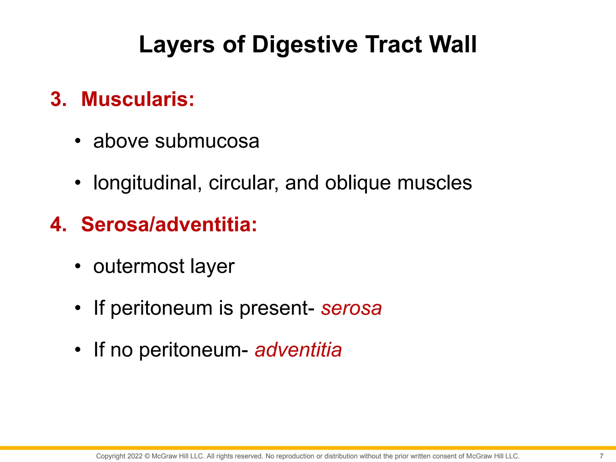 Anatomy and Physiology Chapter-16_Digestive-System.pptx
