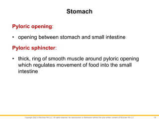Anatomy and Physiology Chapter-16_Digestive-System.pptx | Digestive ...