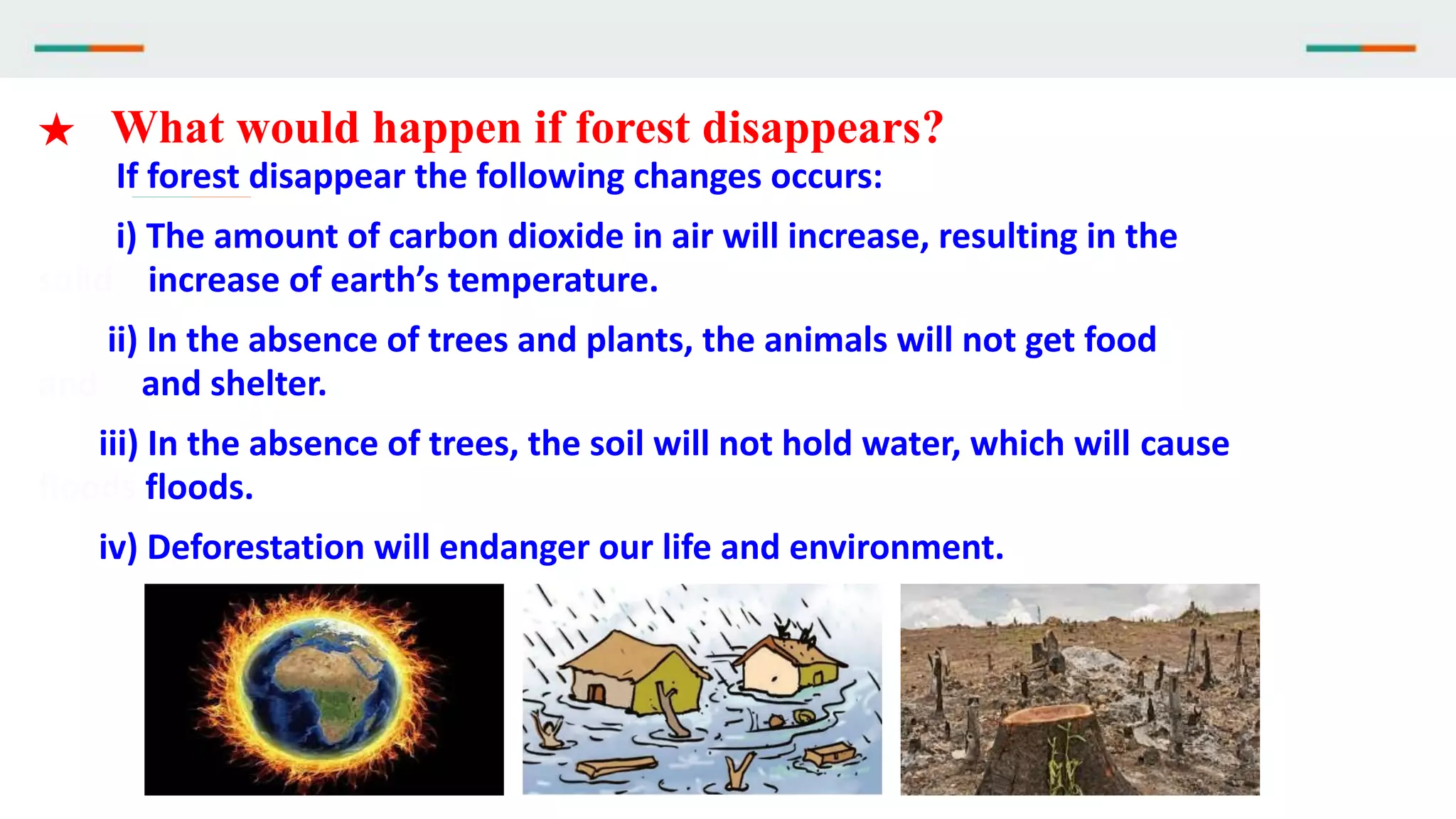 PPT Class 7th Science Chapter- 17 Forests - Our Lifeline | PDF