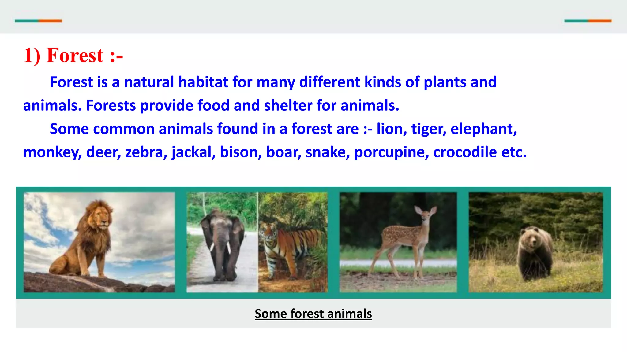PPT Class 7th Science Chapter- 17 Forests - Our Lifeline | PDF