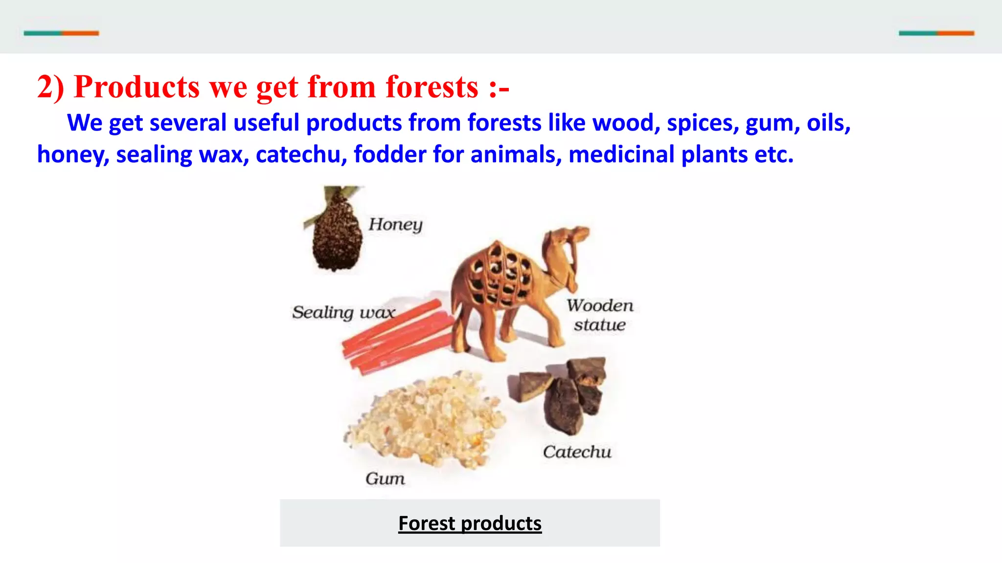 PPT Class 7th Science Chapter- 17 Forests - Our Lifeline | PDF