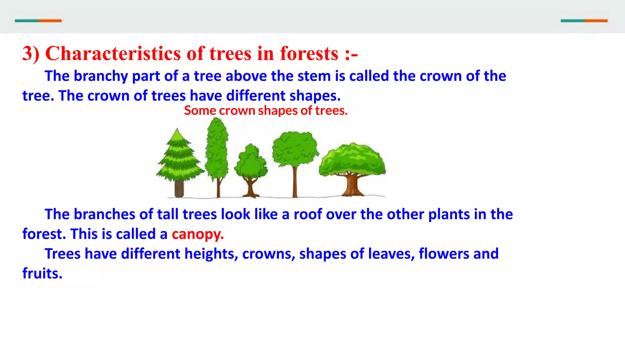 PPT Class 7th Science Chapter- 17 Forests - Our Lifeline | PDF