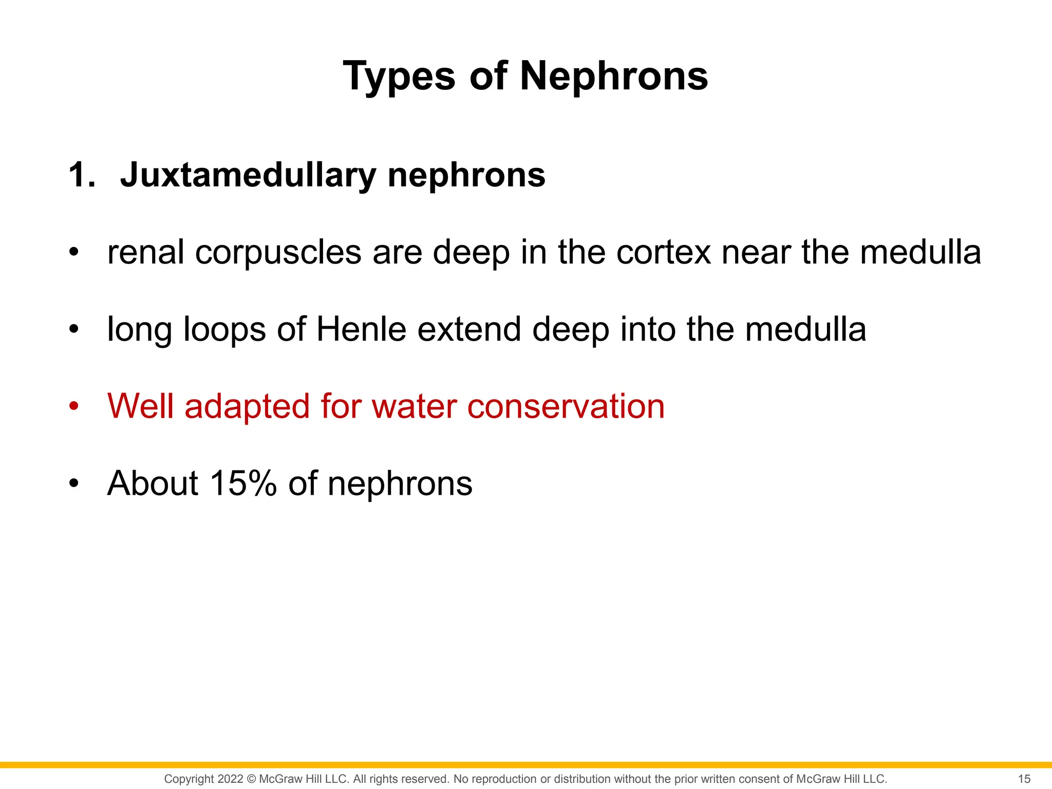 Anatomy and Physiology: Chapter 18- Urinary-System.pptx