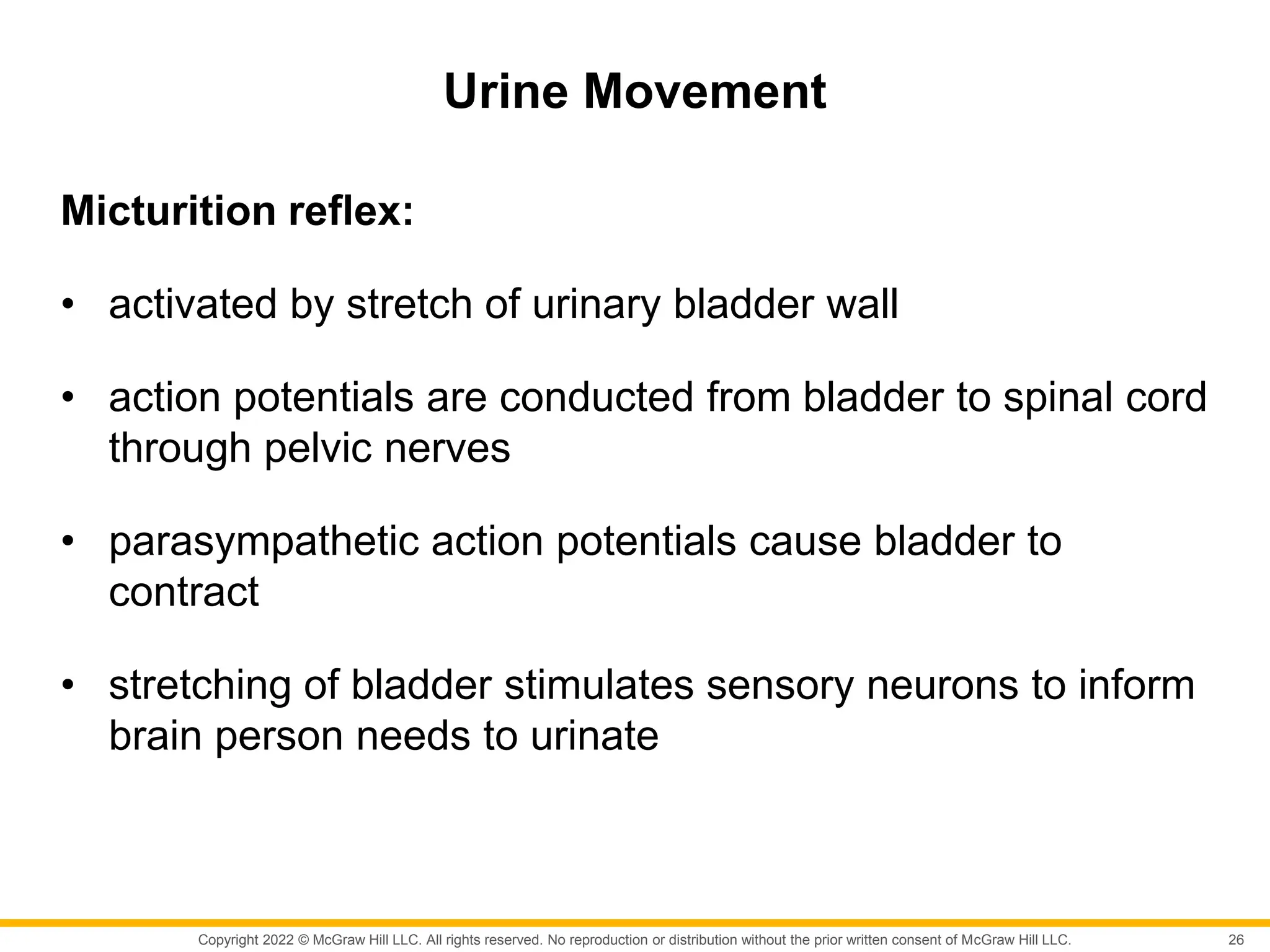 Anatomy and Physiology: Chapter 18- Urinary-System.pptx