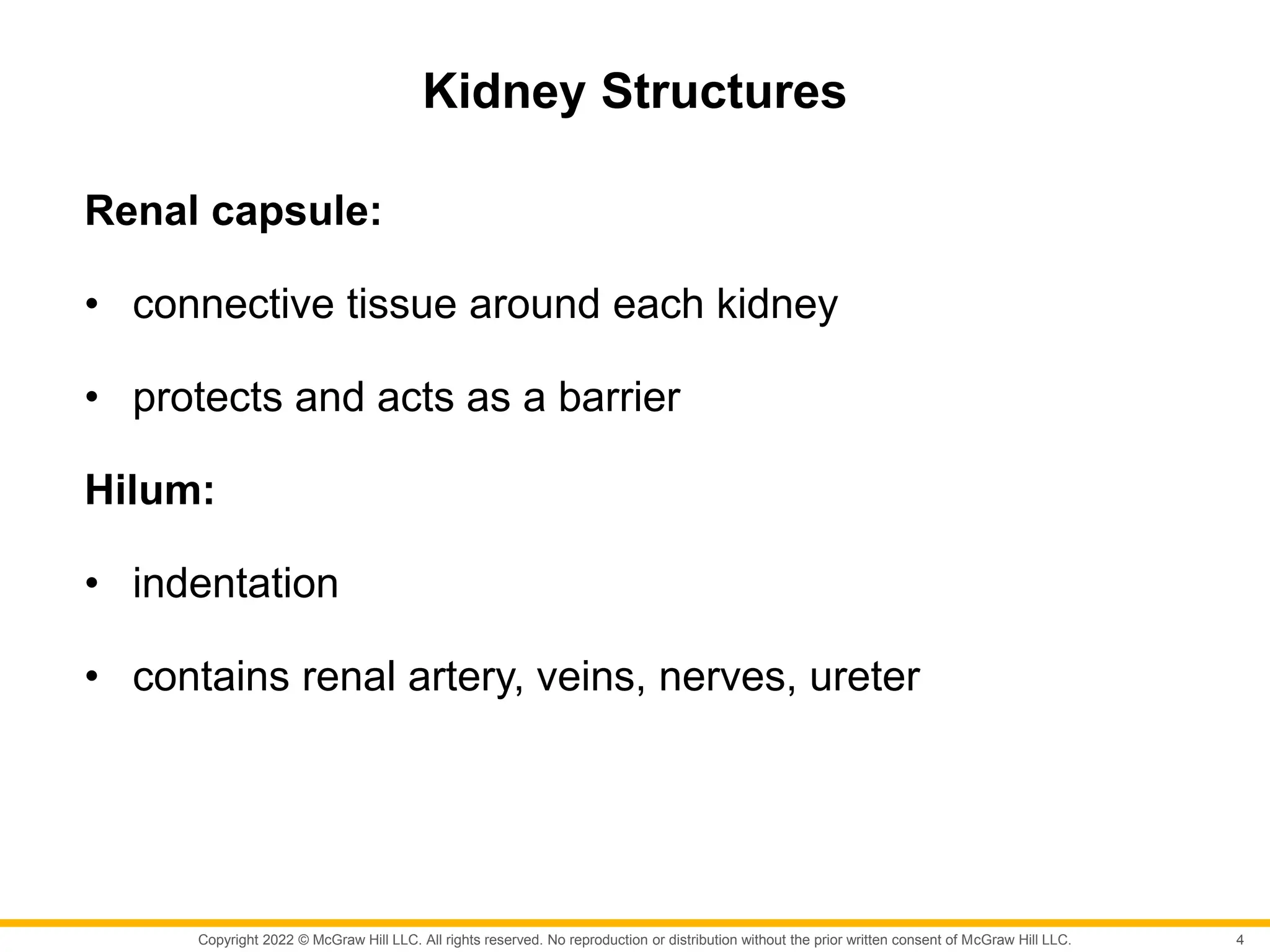 Anatomy and Physiology: Chapter 18- Urinary-System.pptx