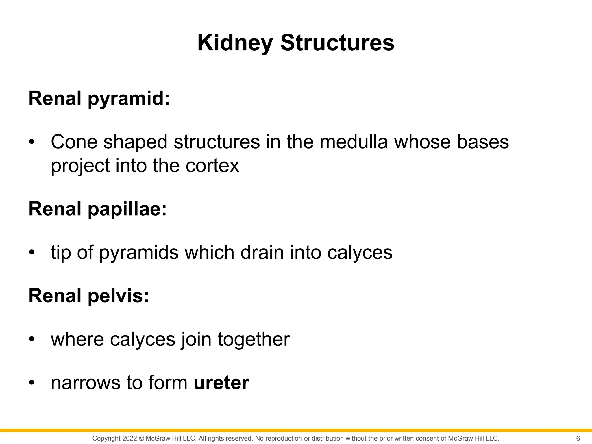 Anatomy and Physiology: Chapter 18- Urinary-System.pptx