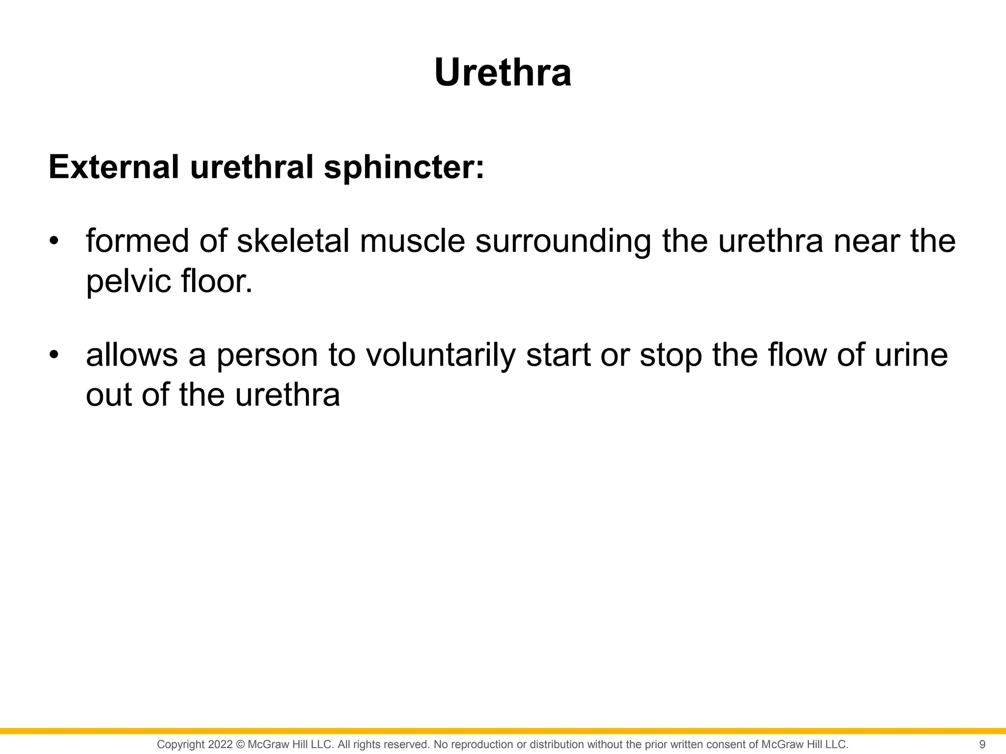 Anatomy and Physiology: Chapter 18- Urinary-System.pptx