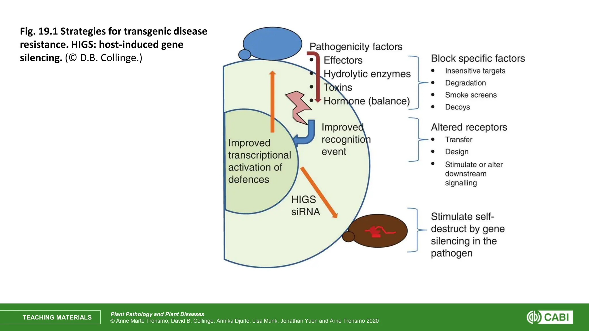 Plant pathology and plant diseases in botany | PPTX
