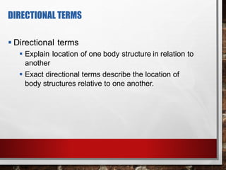 ANATOMY AND PHYSIOLOGY OF THE HUMAN BODY | PDF