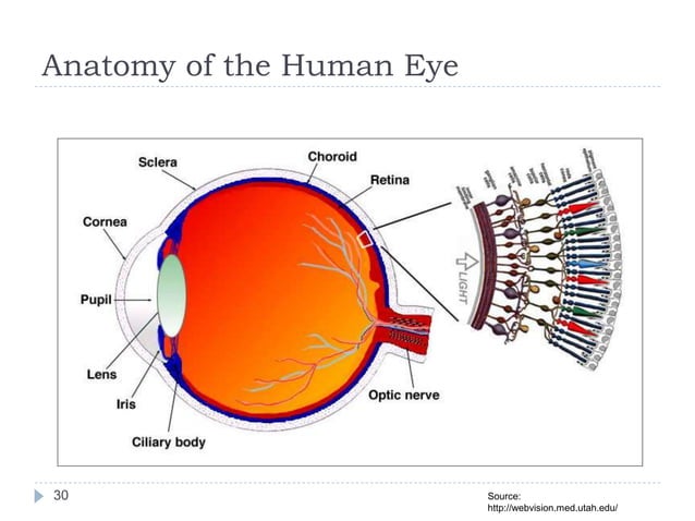 Chapter 1 and 2 gonzalez and woods | PPTX