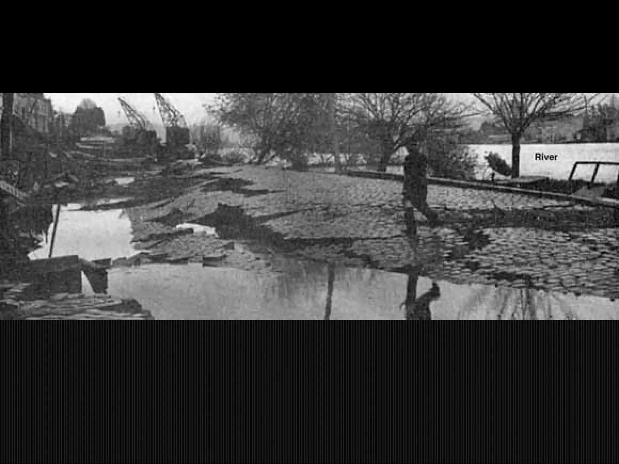 Earthquake basics | PPT | Geology | Science