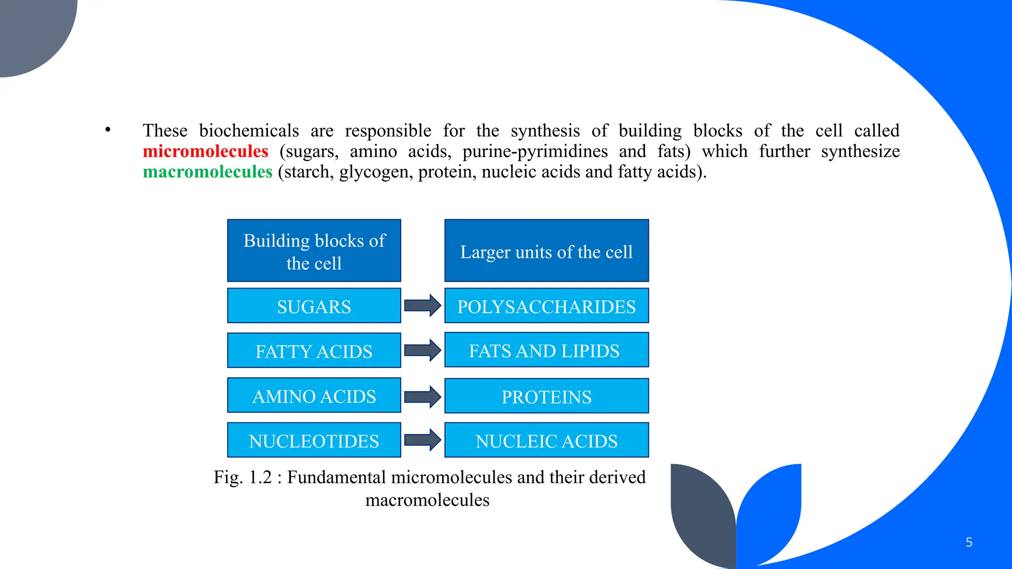 Chapter-1 (introduction to Biochemistry).ppt.pptx