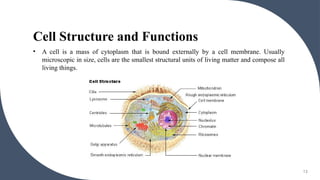 Chapter-1 (introduction to Biochemistry).ppt.pptx