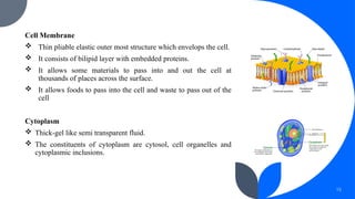Chapter-1 (introduction to Biochemistry).ppt.pptx