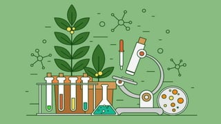 Introduction to Life Science and The Theories on the Origin of Life | PDF