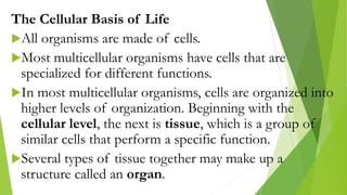 Introduction to Life Science and The Theories on the Origin of Life | PDF