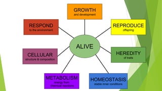 Introduction to Life Science and The Theories on the Origin of Life | PDF