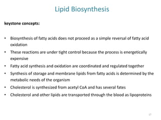 membrane models and biosynthesis | PPTX