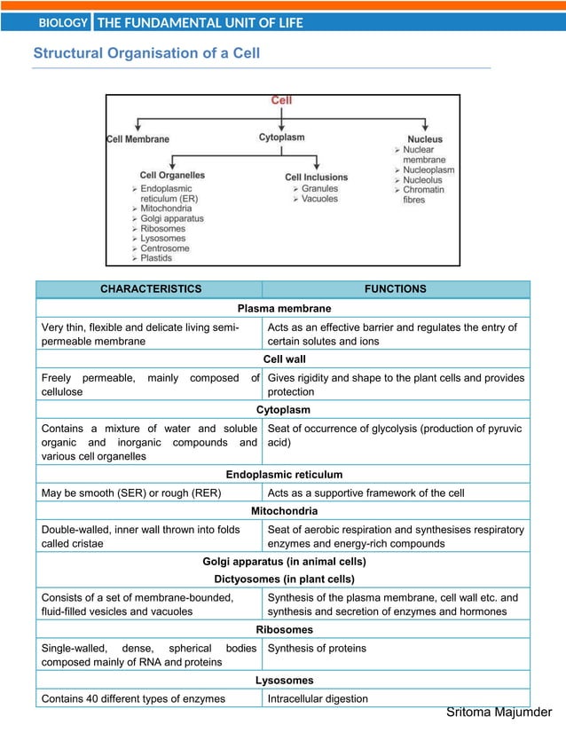 CBSE - Grade 9 - Science - Biology - Ch 1 - The Fundamental Unit of ...
