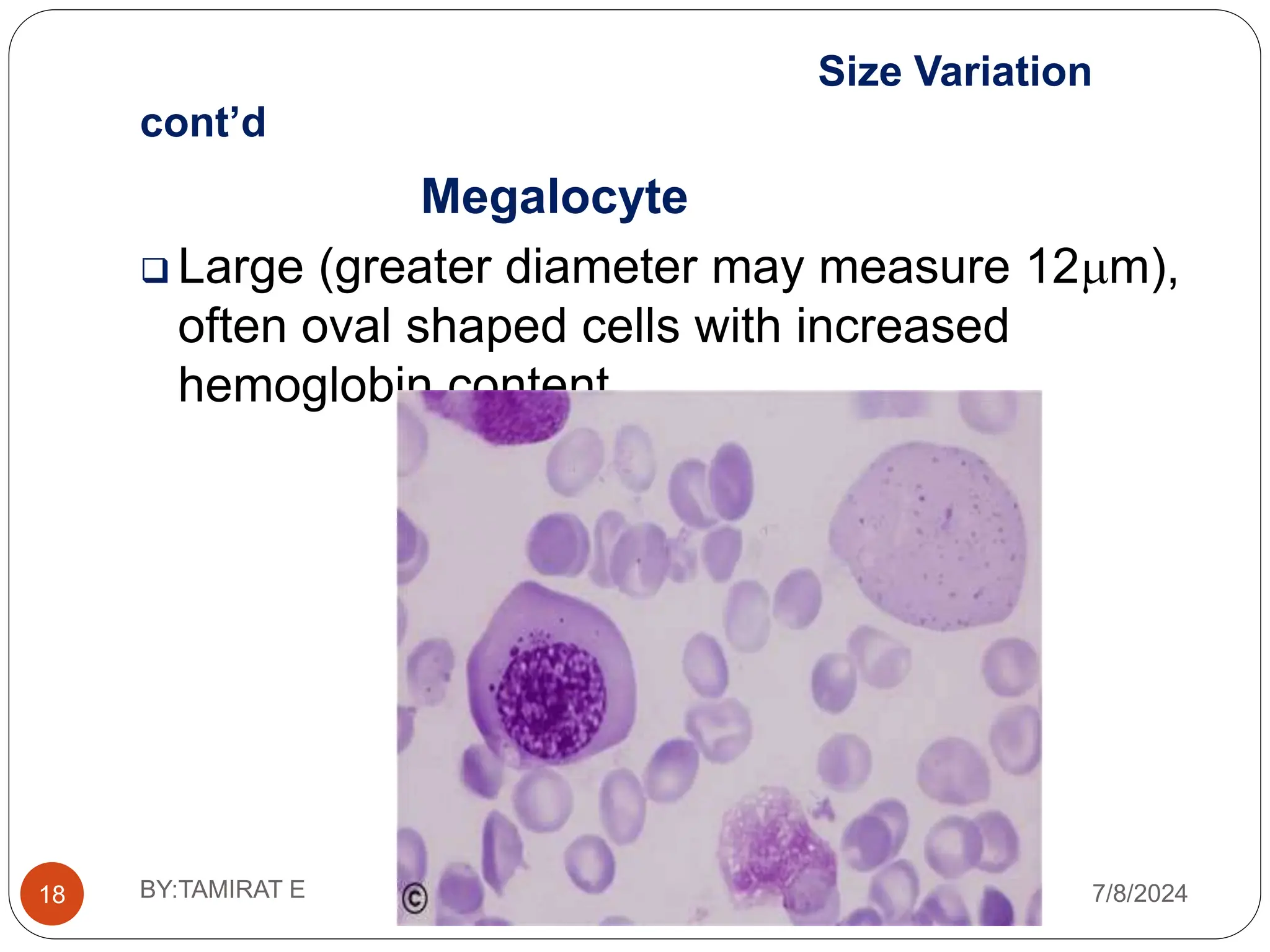 Cell disorder for hematology course.pptx