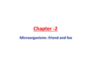 Chapter 2 | PPTX | Biological Sciences | Science