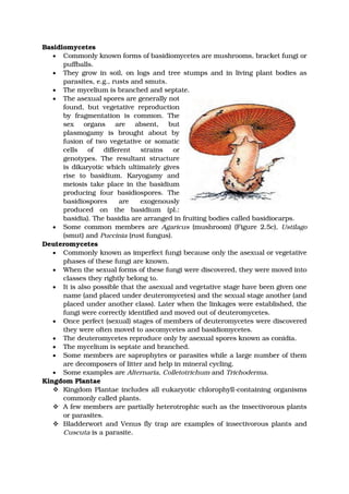 Biological classification | PDF