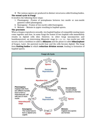 Biological classification | PDF