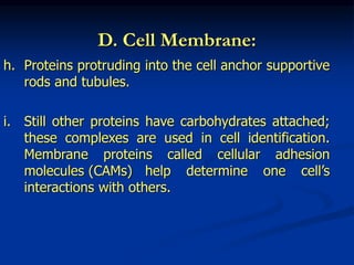chapter-2-cells_0.ppt