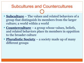 Chapter 2 Culture | PPT