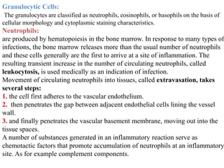 chapter-2-immunology.ppt