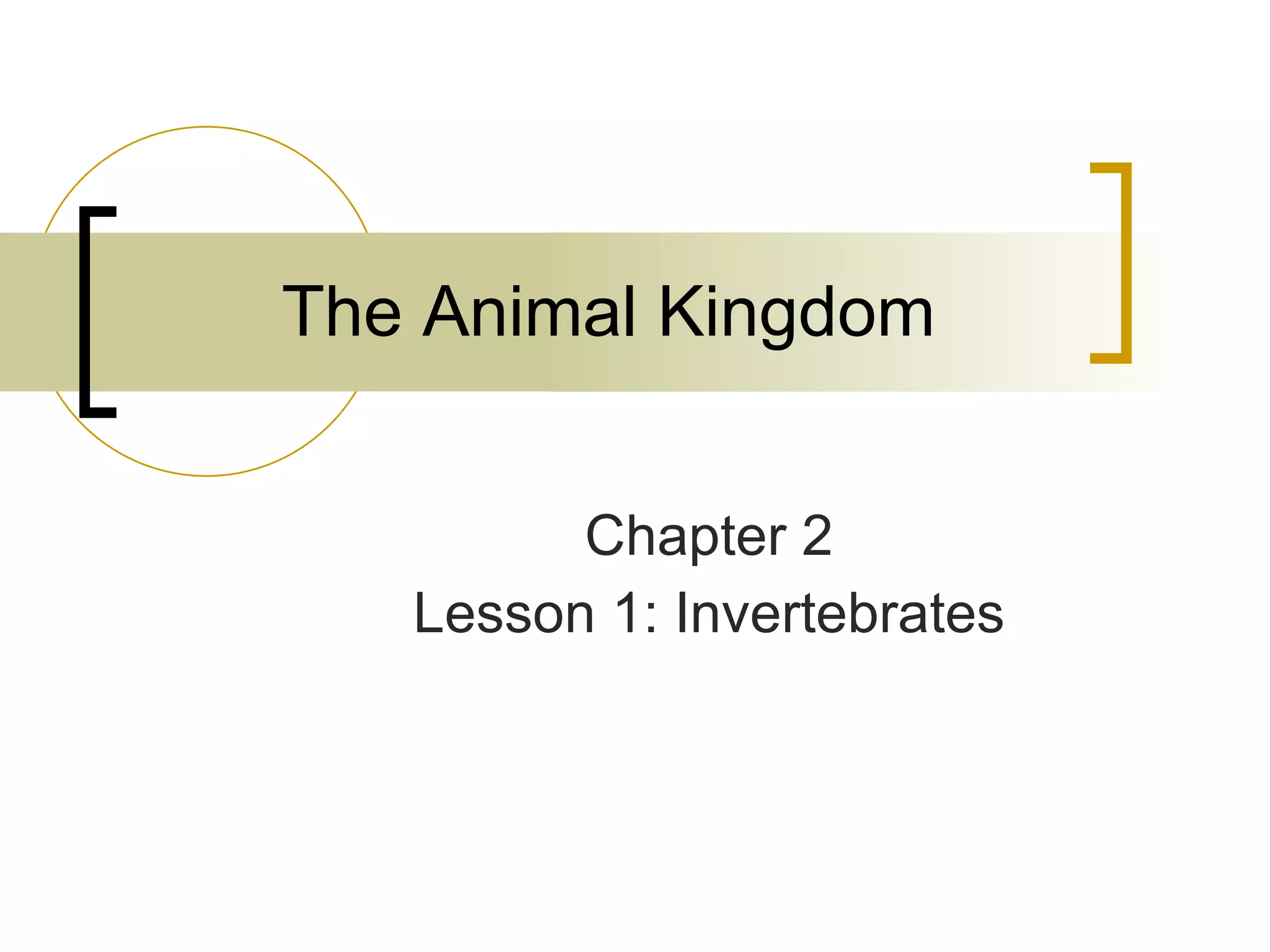 Chapter 2 Lesson 1 Invertebrates | PPT
