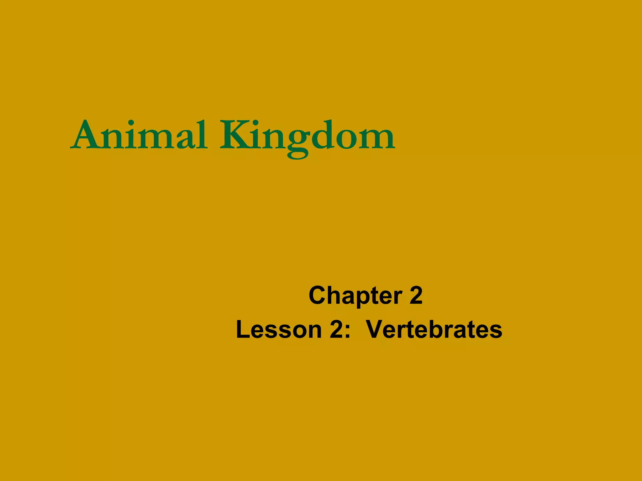 Chapter 2 Lesson 2 Vertebrates | PPT